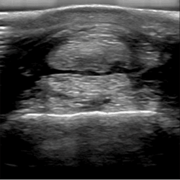 EquiVibe® Made in USA Vibration Machine