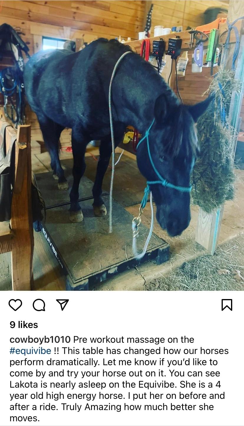 EquiVibe® Made in USA Vibration Machine