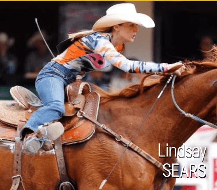 EquiVibe® Made in USA Vibration Machine