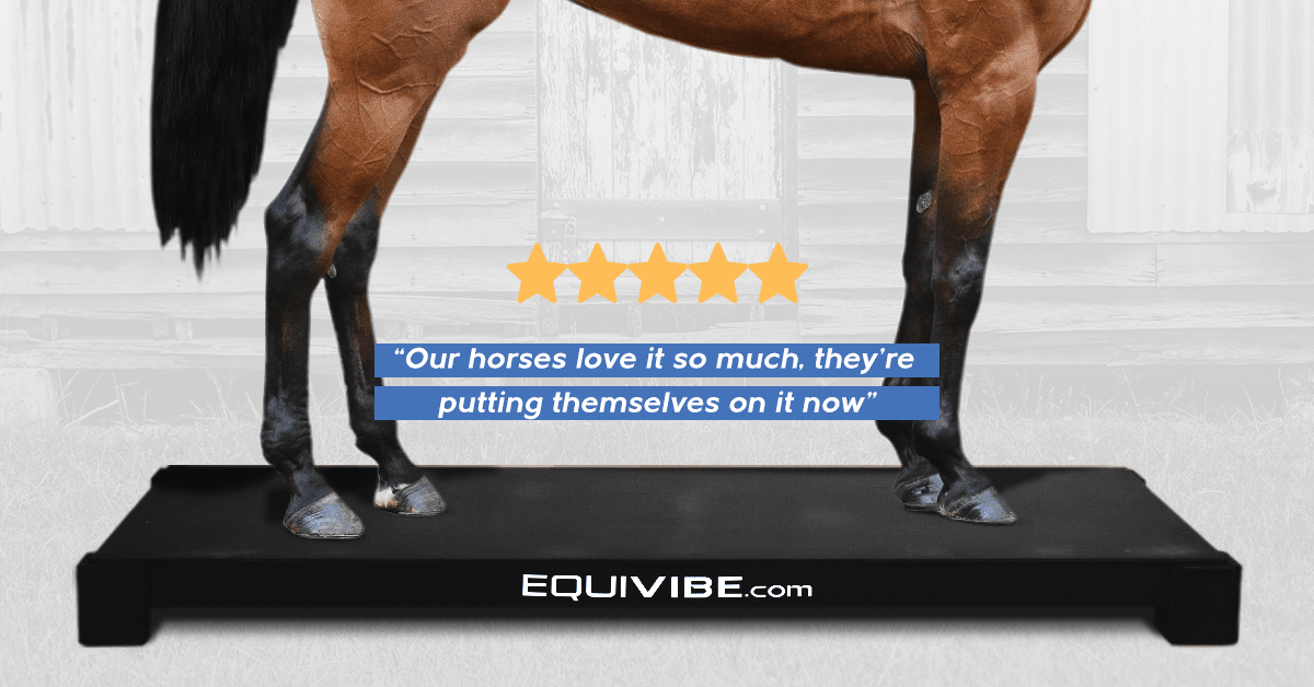 EquiVibe® Made in USA Vibration Machine