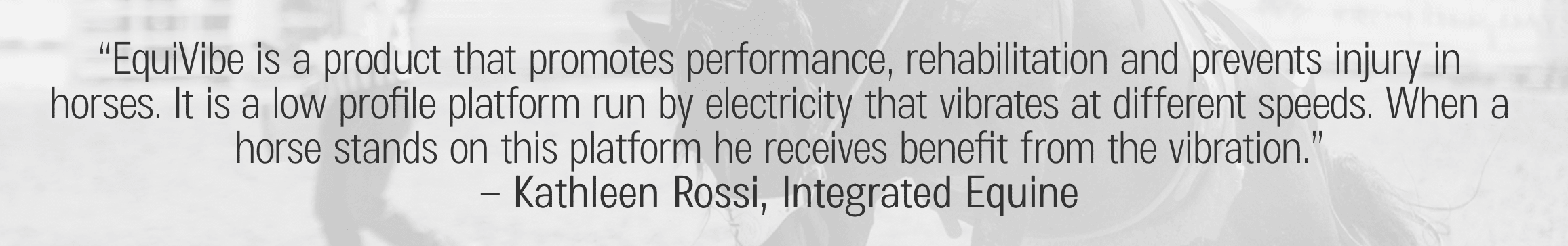 EquiVibe® Made in USA Vibration Machine