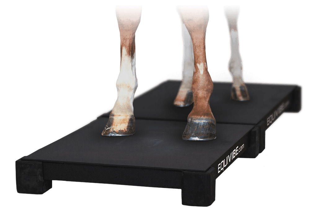 EquiVibe® Made in USA Vibration Machine