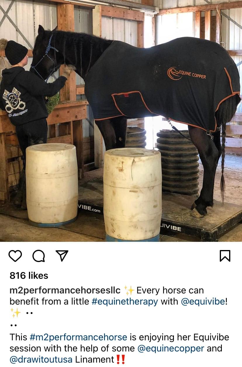 EquiVibe® Made in USA Vibration Machine