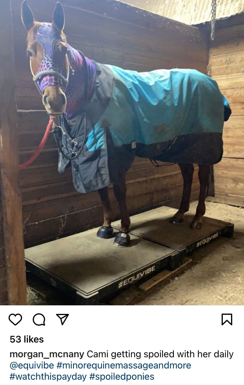 EquiVibe® Made in USA Vibration Machine