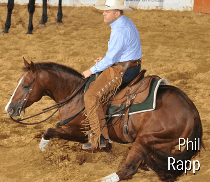 EquiVibe® Made in USA Vibration Machine