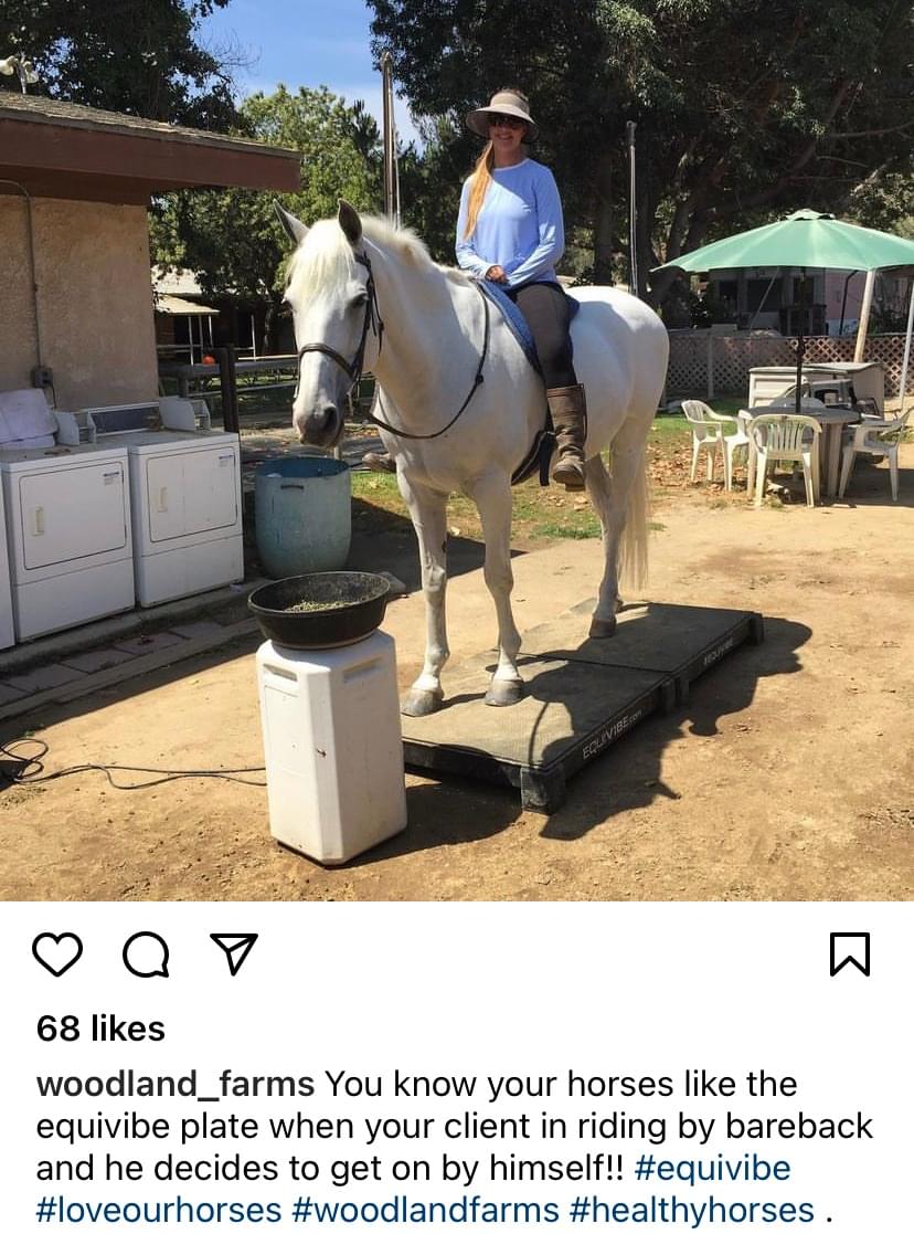 EquiVibe® Made in USA Vibration Machine