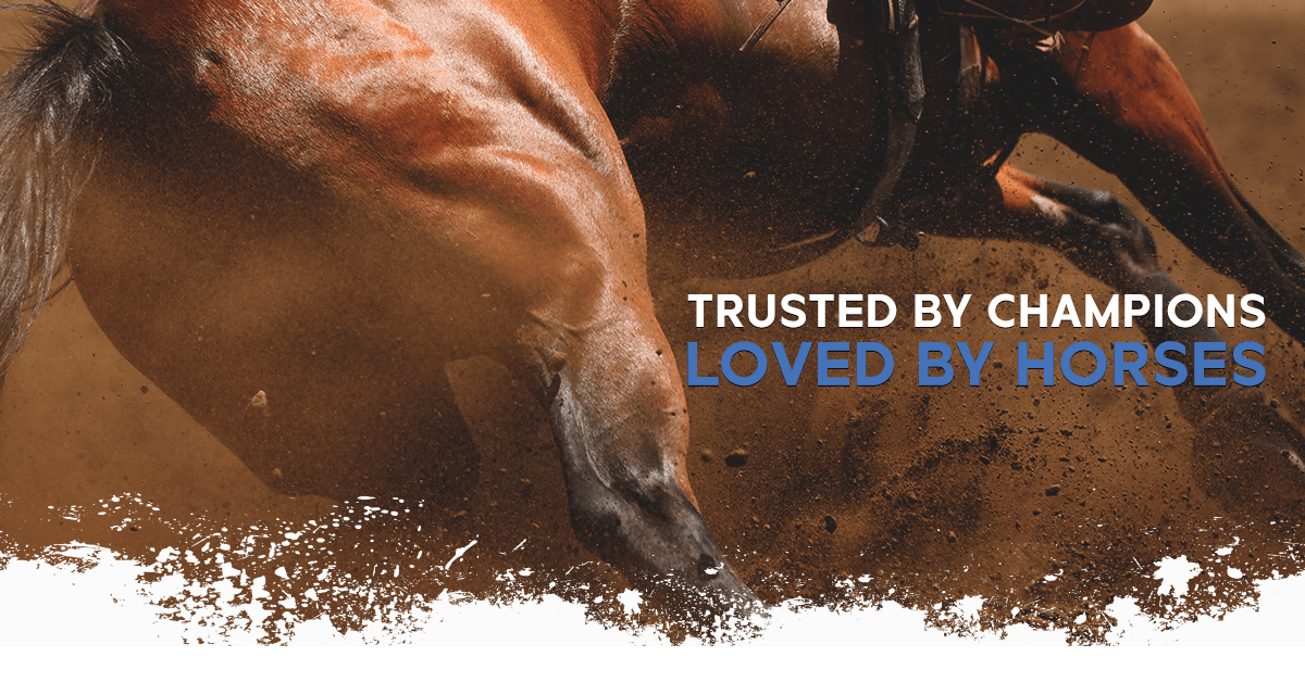 EquiVibe® Made in USA Vibration Machine